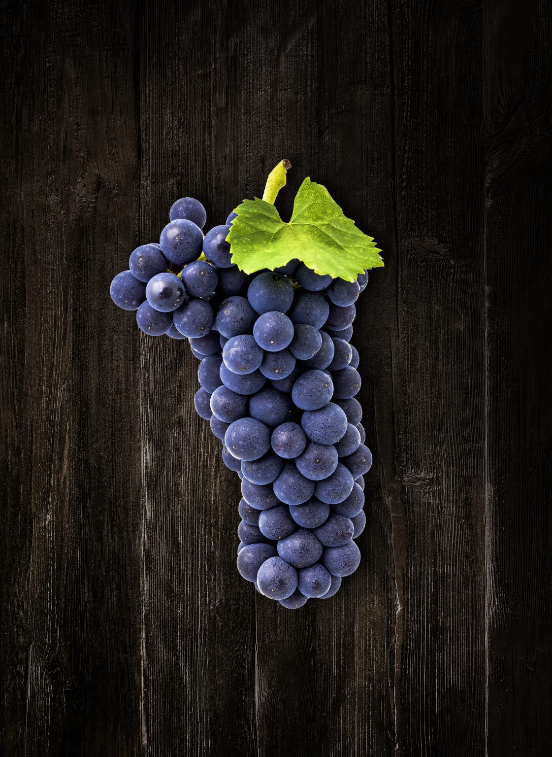 Superstar Samtrot | „Echt Württemberger“ Blog