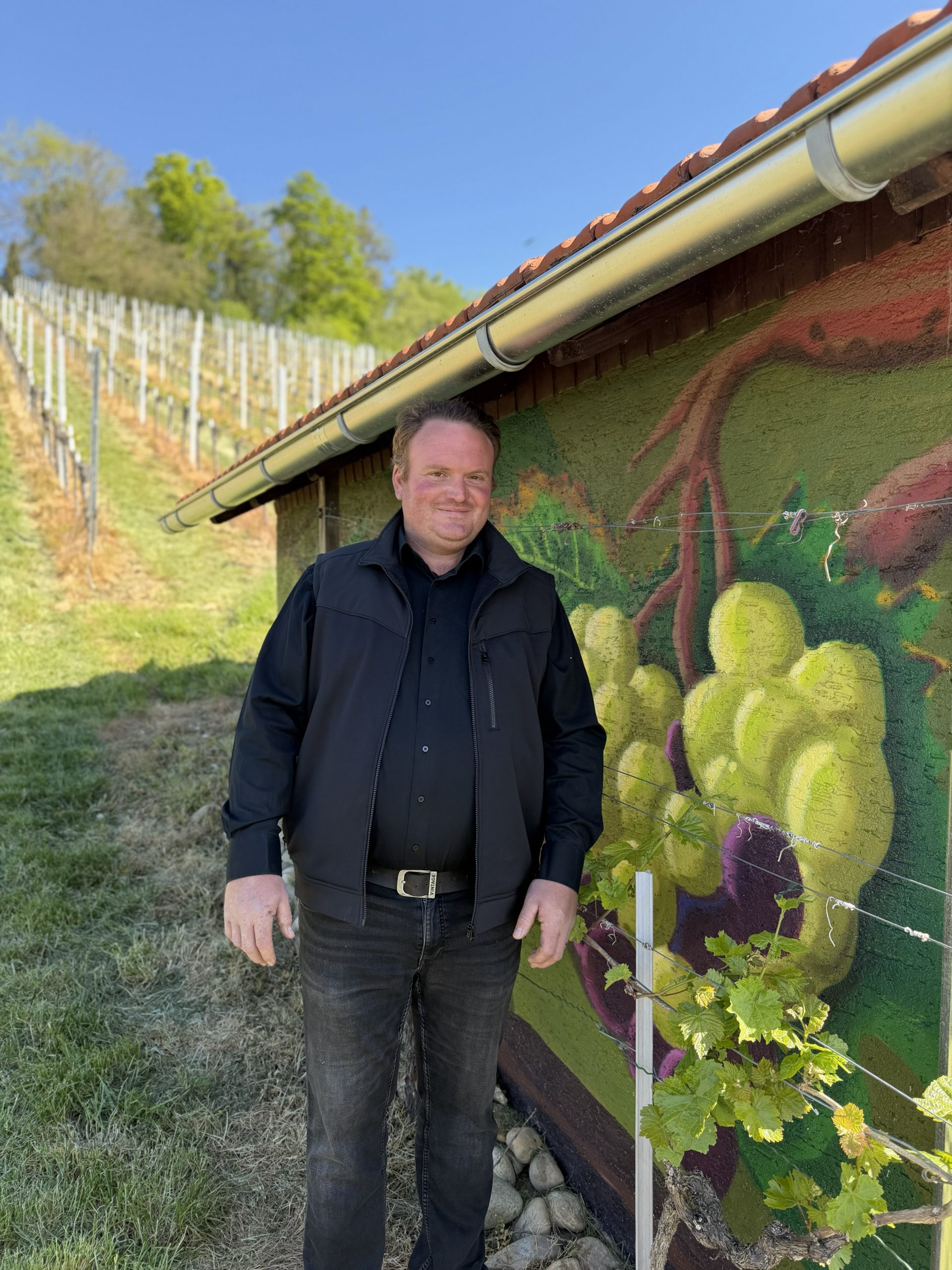 Württemberger Rebsorte: Riesling | „Echt Württemberger“ Blog