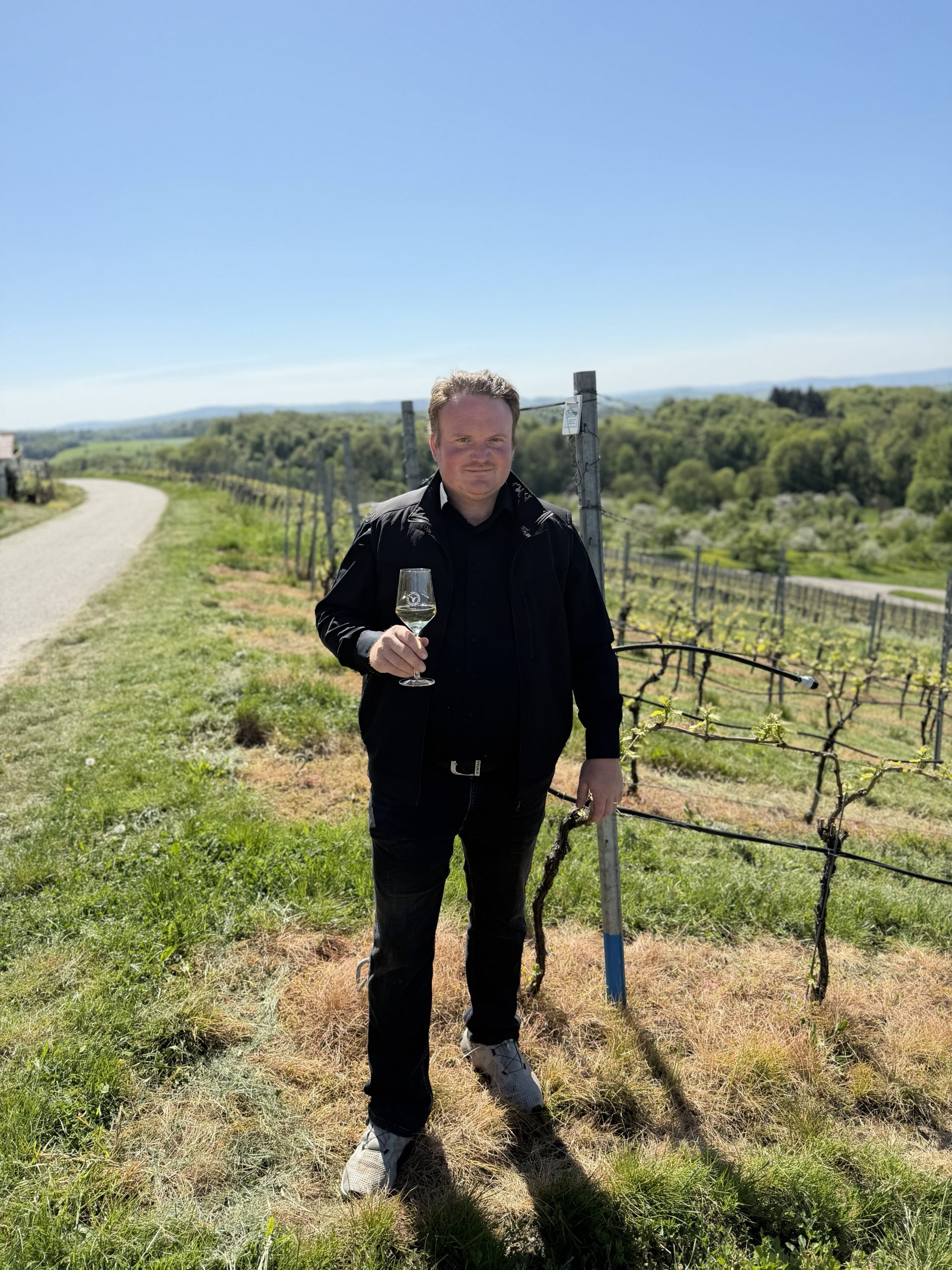 Württemberger Rebsorte: Riesling | „Echt Württemberger“ Blog